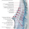 Shoe Parts Diagram | Shoemakers Academy