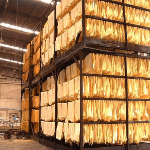 NR Natural Rubber - Shoemakers Academy