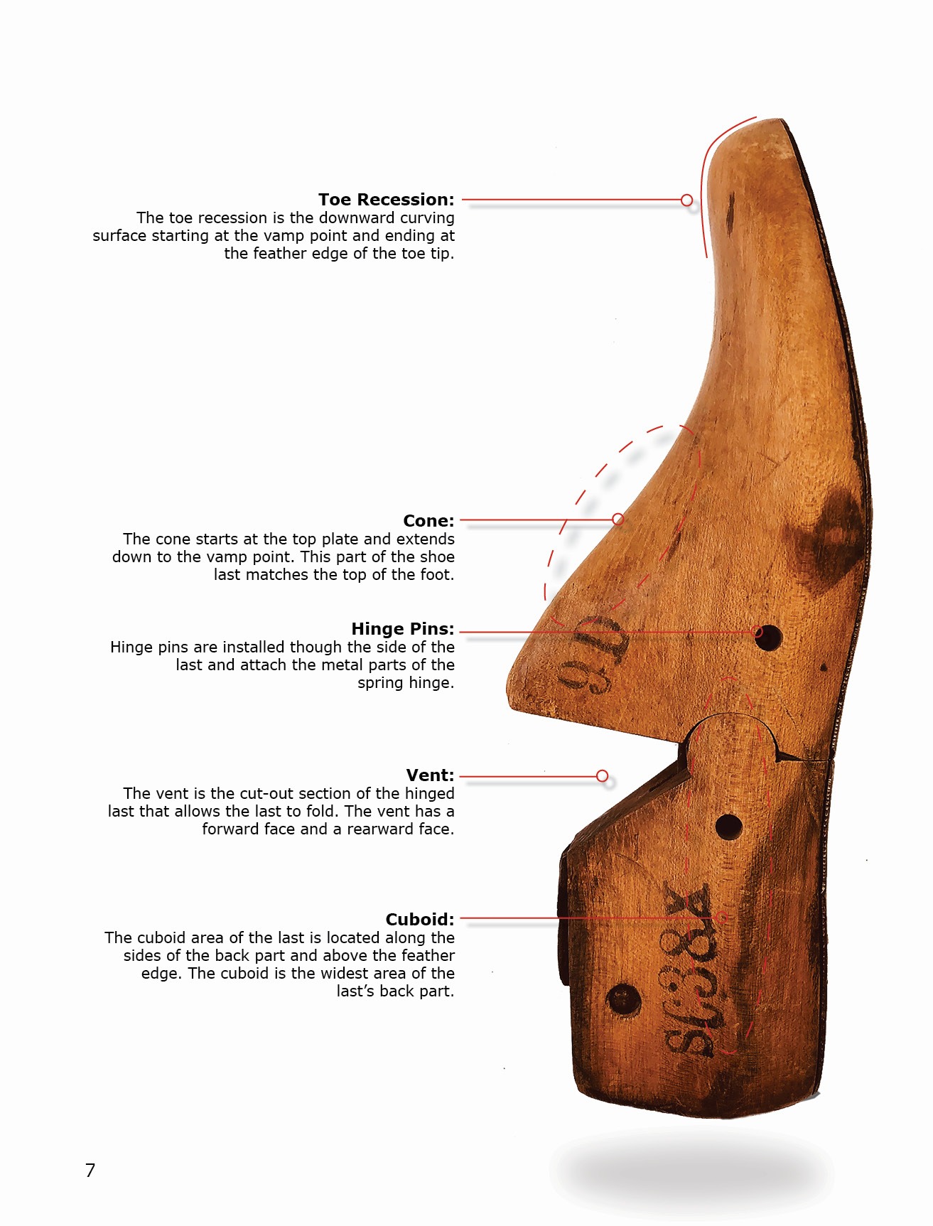 What is a Shoe Last? | Shoemakers Academy